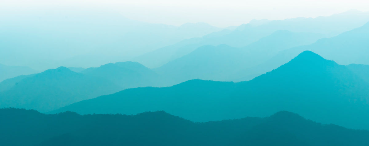 Store – Show Your Teal